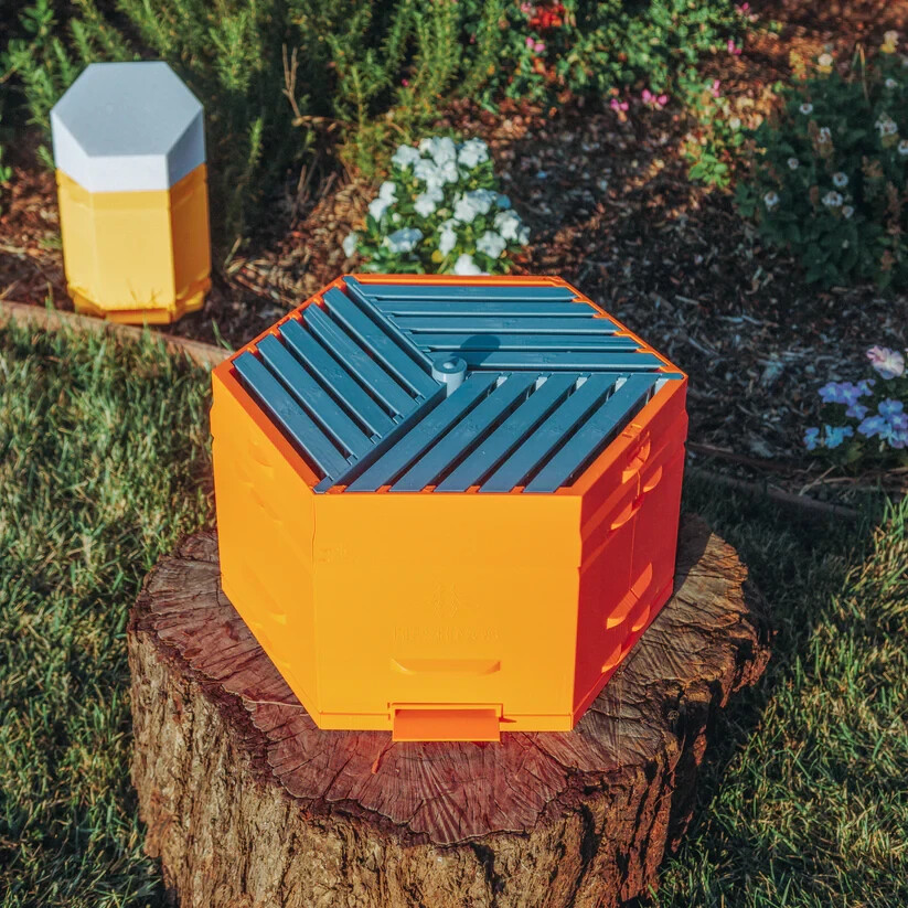 Hex Hive - 3d Printed Bee Hives | eBay