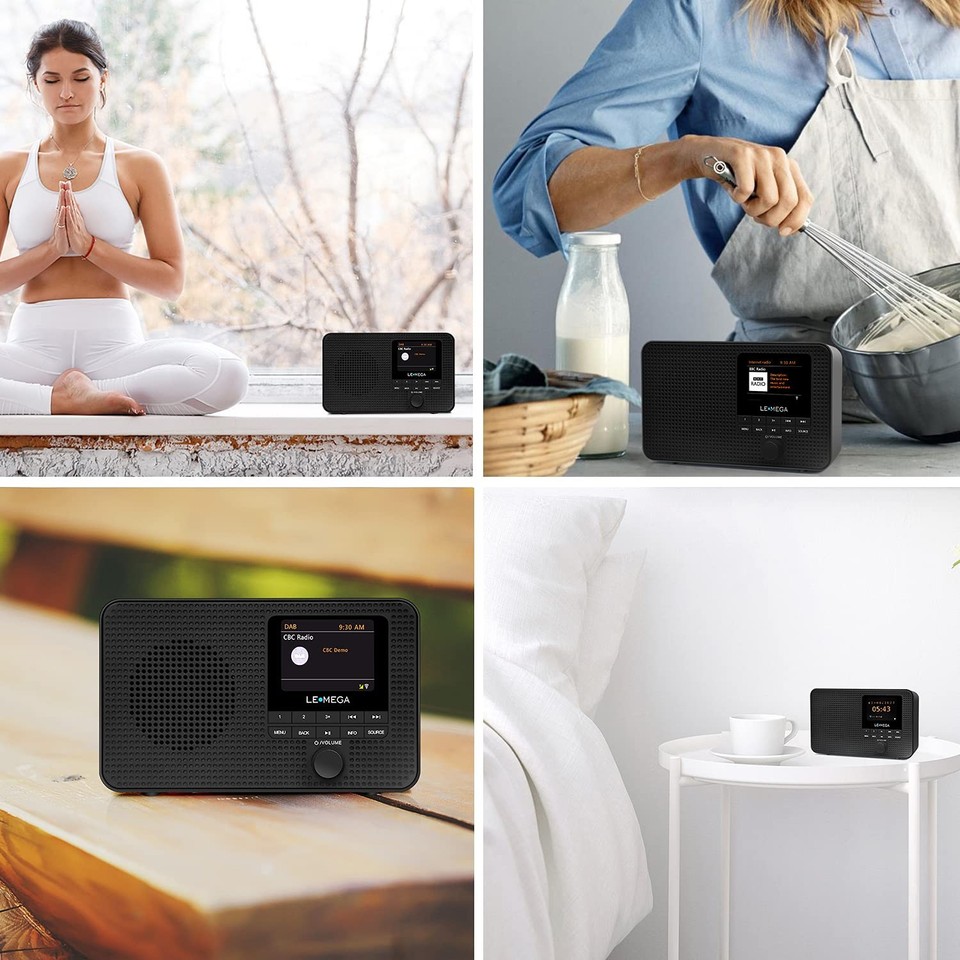 IR1 Portable WiFi Internet Radio,FM Digital Radio,Bluetooth Speaker ...