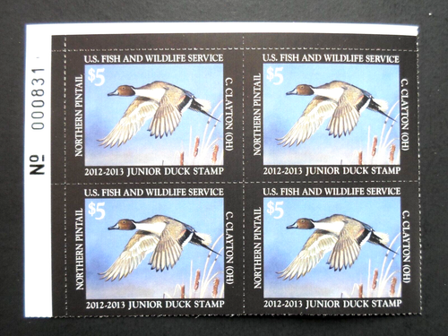 2012 Junior Duck Stamp - Northern Pintail - Cat # JDS20 Plate Block of ...