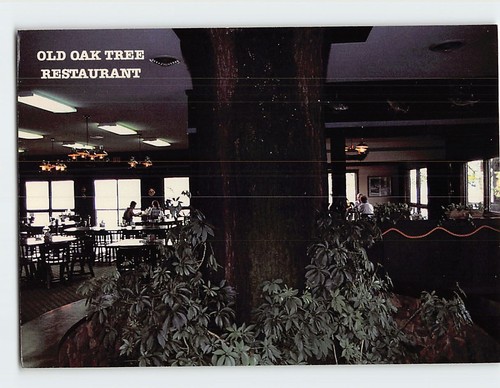Postcard Old Oak Tree Restaurant Springville Tennessee USA | eBay