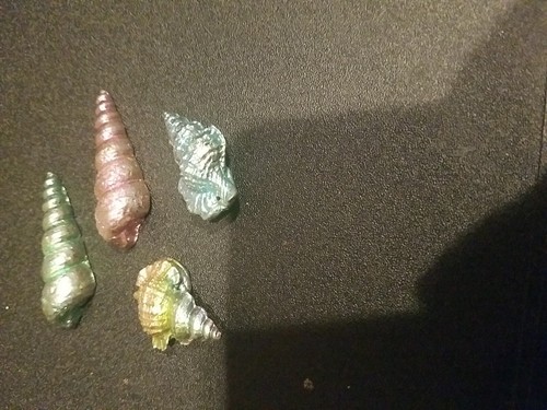 Bismuth Shells | eBay