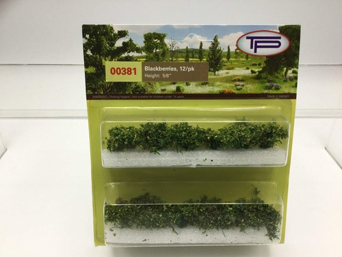 Tasma Products 00381 OO/HO Gauge Blackberry Plants (Pack 12) | eBay