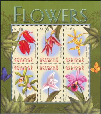 Antigua & Barbuda 2000 Flowers/Orchids/Plants/Nature 6v sht (b4222n) | eBay