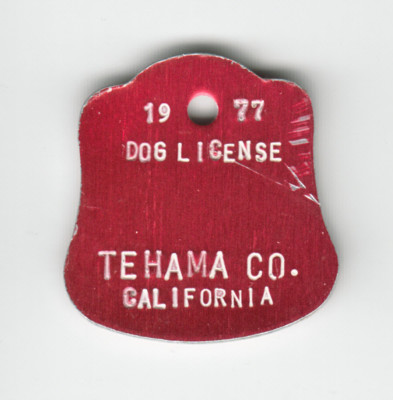 1977 TEHAMA COUNTY CALIFORNIA DOG LICENSE TAG WITH NO LICENSE NUMBER | eBay