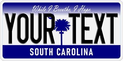 South Carolina License Plate Personalized Custom Car Auto,tag | eBay