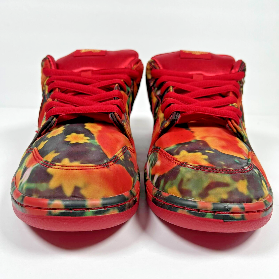 Men's Size 11.5 - The Wizard of Oz x Nike SB Dunk Low QS FZ1291-600 ...