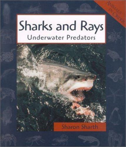 Sharks and Rays : Underwater Predators by Sharon Sharth (2002 ...