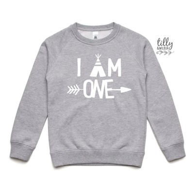 I Am One Jumper, 1st Birthday Hoodie, 1st Birthday Sweatshirt, 1st ...