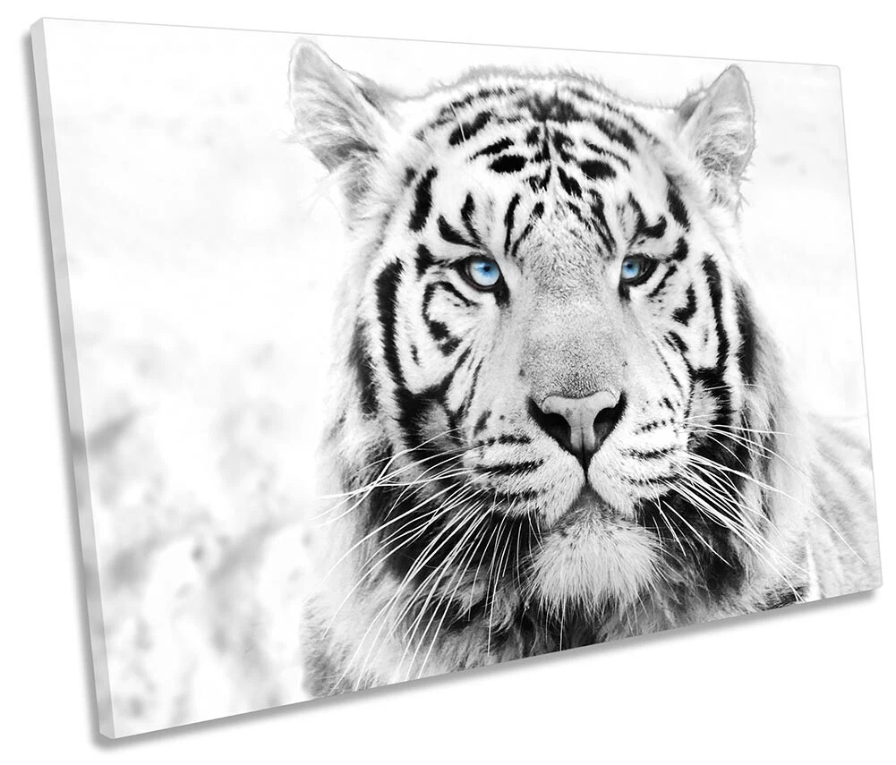 White Tiger Face Print