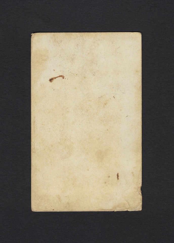 Composite CDV Photo of McCoy Family Group of Buffalo, West Virginia ...