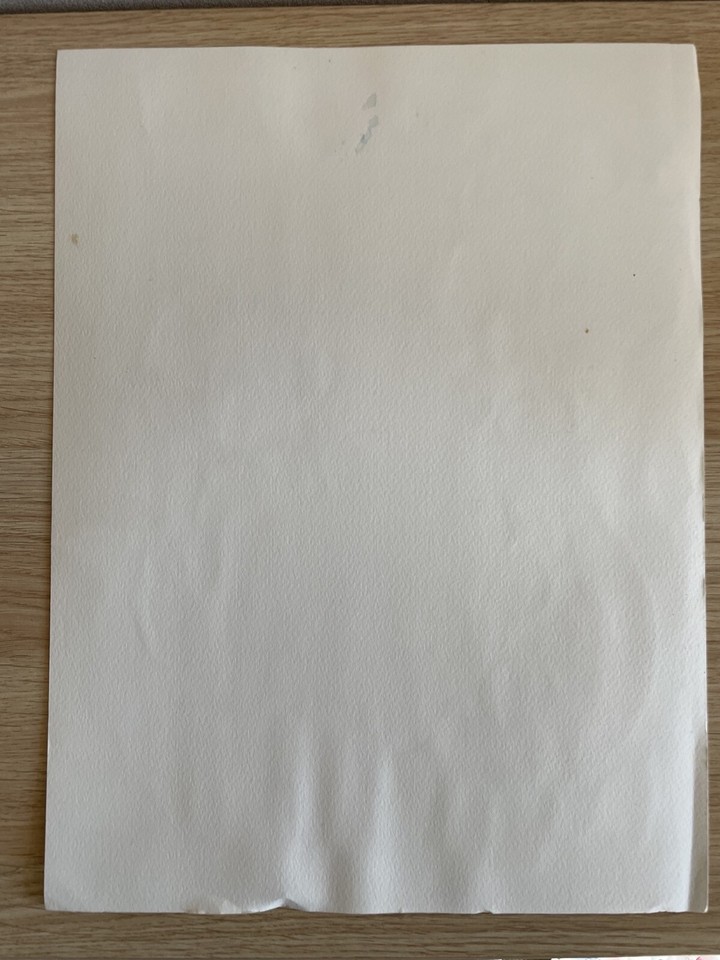 Watercolor Drawing Human Skull Bone Head Skeleton Anatomy Medicine | eBay