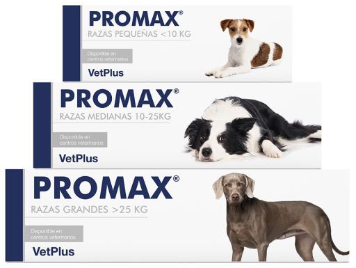 VETPLUS PROMAX dog cat Supplement nutritional digestion disorder 9-18 ...