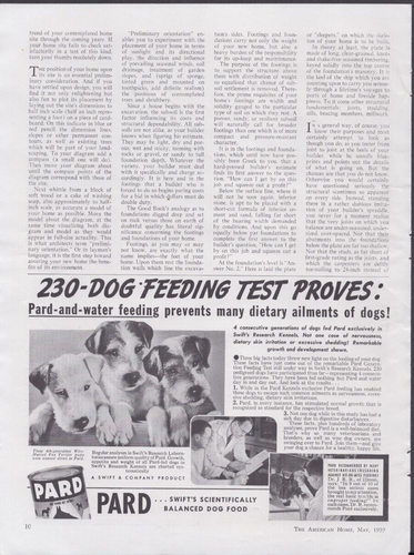1939 Print Ad Swift's PARD Scientifically Balanced Dog Food Fox Terrier ...
