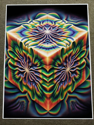 Trippy Rainbow Cube with Abstract Patterns Poster 18x24in | eBay