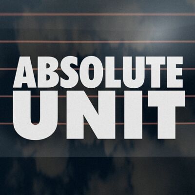 ABSOLUTE UNIT Sticker 205mm funny hoon unit skids car window decal | eBay