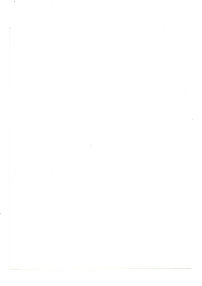 RAUL CORRAL (CORRALES) THE DREAM IMAGE REPRINT 1990 VTG ORIG Press ...