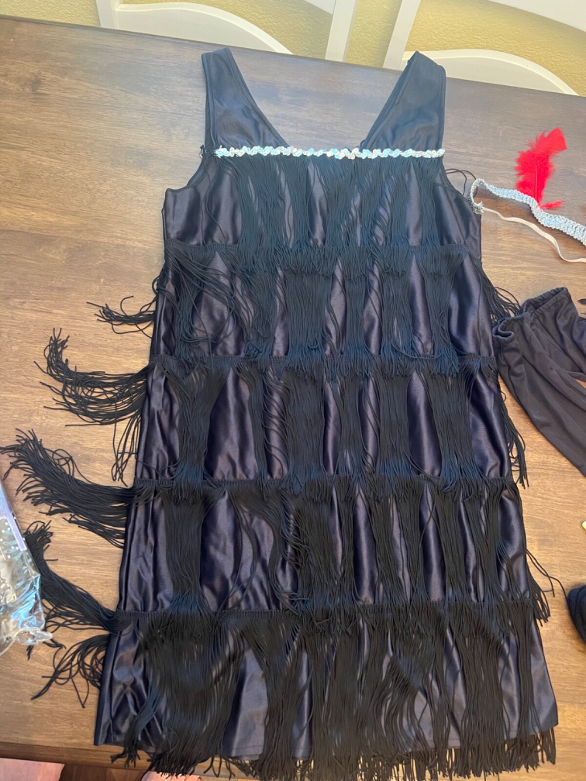 1920s Gatsby Sequin Fringed Flapper Dress with 20s Ac… - Gem