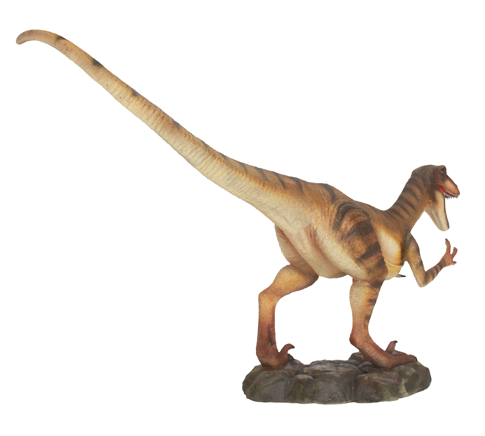 Velociraptor Dinosaur Statue Jurassic Dino Life Size Raptor 11FT Museum ...