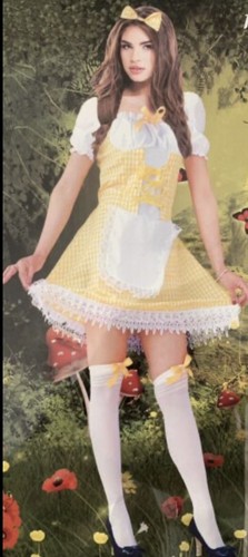 Goldilocks Book Week Adult or Teenager costume Extra small 8-10 ...
