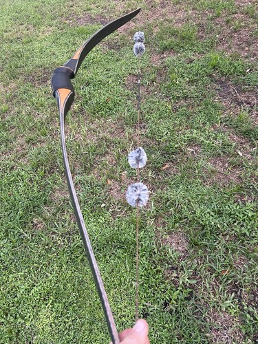 Two Tracks Ogemaw Longbow Archery | eBay