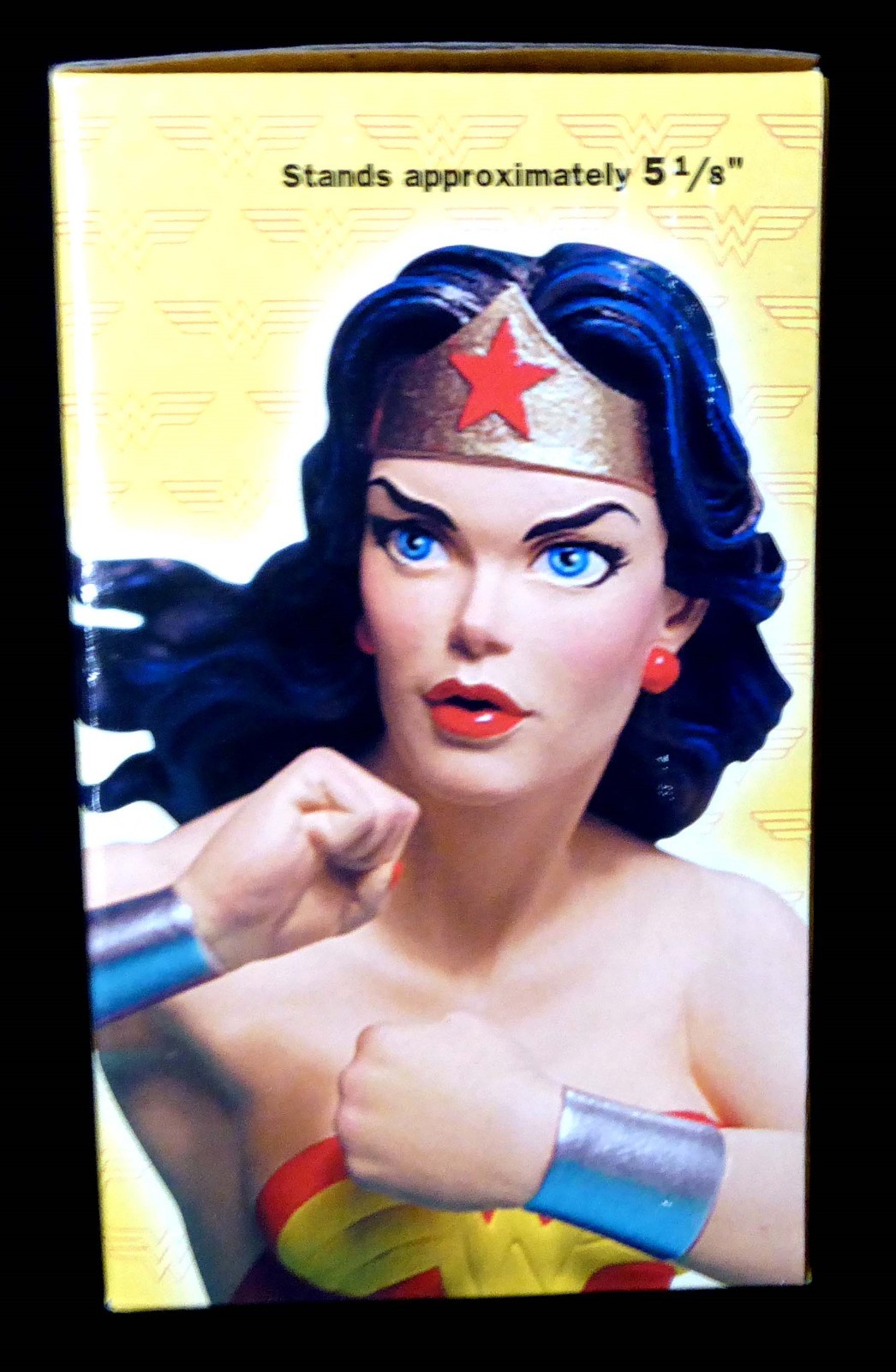 Wonder Woman Bust Statue New Factory Sealed Amazon Princess DC Comics ...