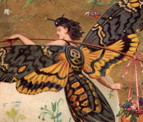 1880s-90s Trébucien Gourmet Chocolate Anthropomorphic Death-Head Moth ...