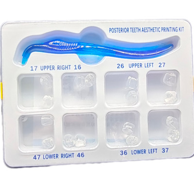 Dental Aesthetic Printing Light Cure Composite Curing Posterior Molar ...