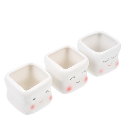 3 Pcs Plants Container Ceramic Pot Chic Flowerpot Creative Small ...