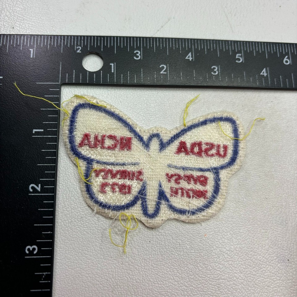 Vintage 1973 GYPSY MOTH SURVEY USDA NCHA BUG INSECT Patch 29MU | eBay