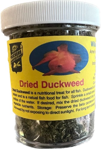 Dried Duckweed | eBay