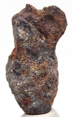SAU 001 Chondrite Stone Meteorite Individual Specimen Stony Iron OMAN ...