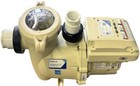 Pentair 011075 INTELLIFLO3 VSF 3HP Pool Pump *BRAND NEW* | eBay
