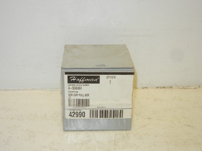 HOFFMAN A-SE4X4X4 NEW SCR CVR PULL BOX ASE4X4X4 | eBay