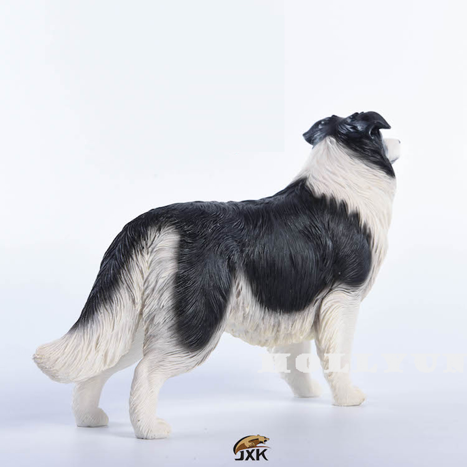 JXK Border Collie Dog Model 1/6 Resin Pet Figurine Animal Collectible ...