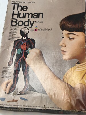 Vtg 1970 Colorforms “An Introduction To The Human Body-Male” #1149 ...