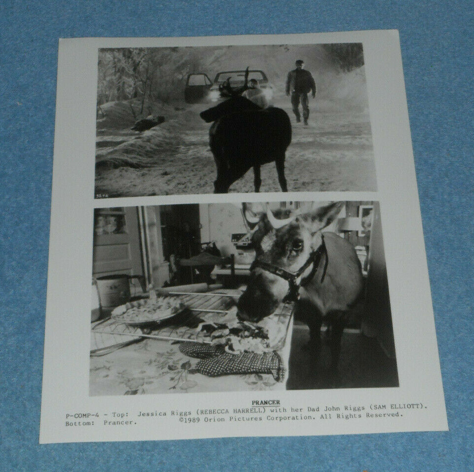 Rebecca Harrell Designs