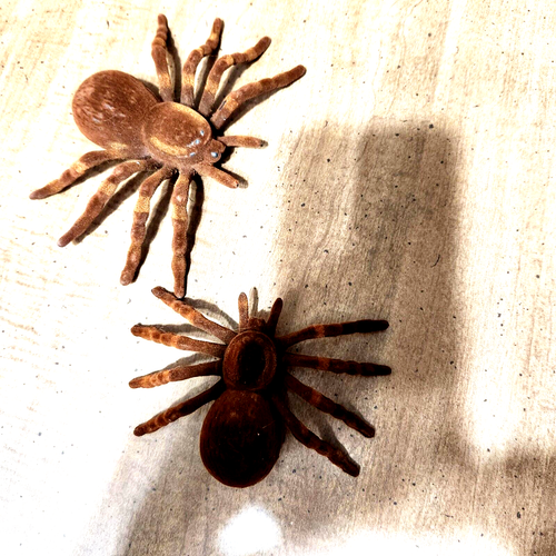 Tarantulas 2 Spiders Flocked Halloween Large 3.75" x 5.5" Brown Scary ...