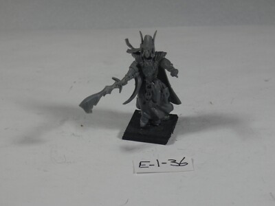 High Elf Custom Hero Champion Conversion Sylvaneth E117 | eBay