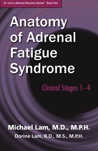 Anatomy of Adrenal Fatigue Syndrome: Clinical Stages 1– 4 by Lam ...