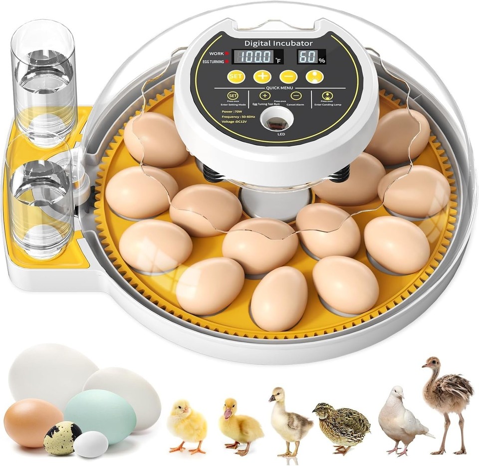 Egg Incubator ABS 18 Egg Capacity Auto Turn Humidity Temperature ...