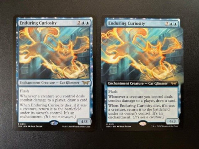 MTG- Enduring Curiosity x2 - Duskmourn - Extended Art | eBay
