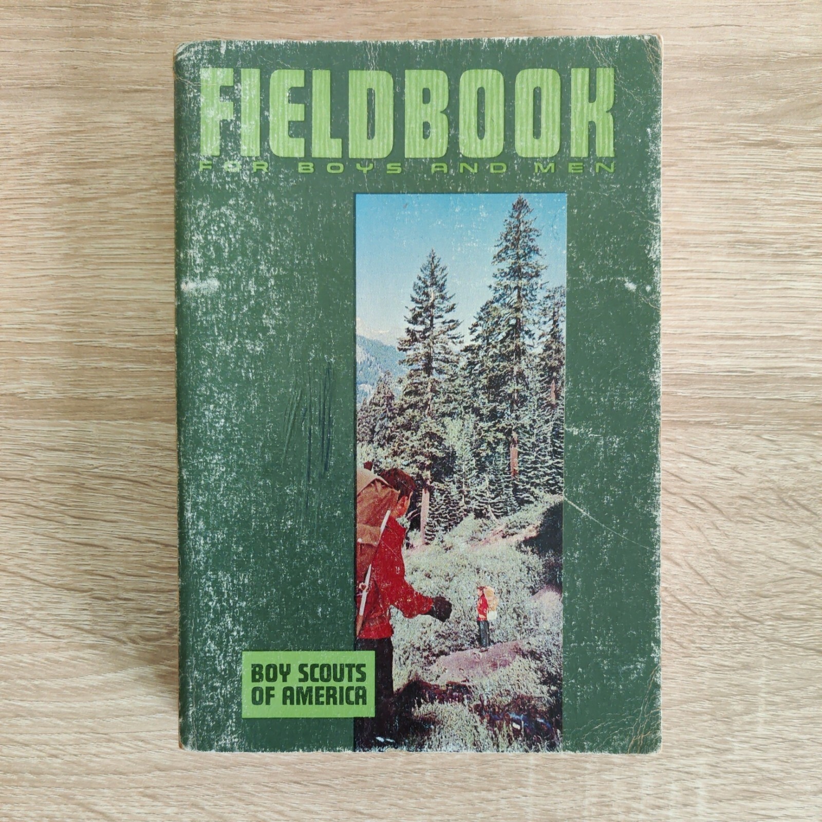 Vintage Fieldbook For Boys And Men 1967 Edition Boy Scouts Of America ...