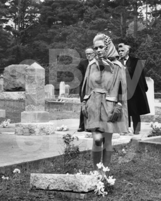 The Dunwich Horror (1970) Sandra Dee 10x8 Photo | eBay