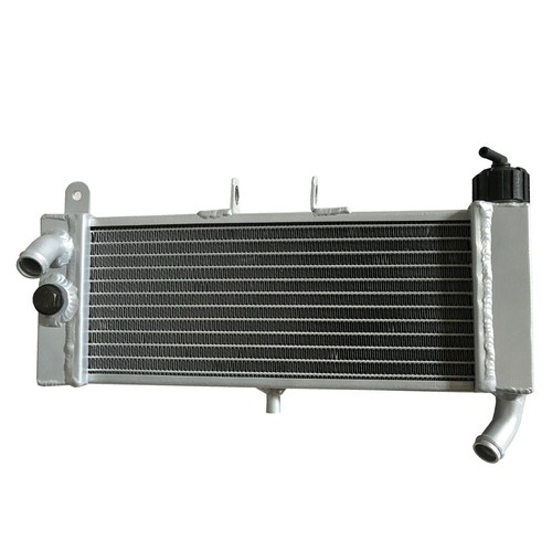 Aluminum Radiator For Aprilia RS4 50 / RS4 125 2011-2019 Silver | eBay UK