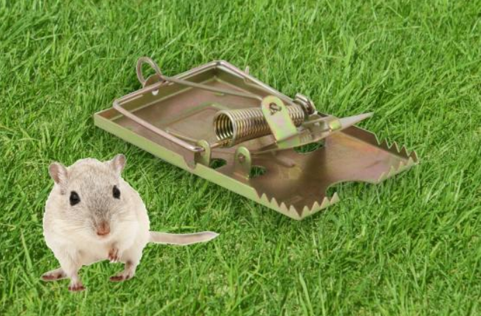 1-15Stück Mausefalle METALL Mausefallen Falle Schlagfalle Tierfalle ...