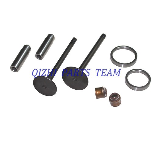 1DZ-2 Engine Valve Kit Spring Seals For Toyota 7-8FD 1DZ-2 1DZ-Ⅱ Diesel ...
