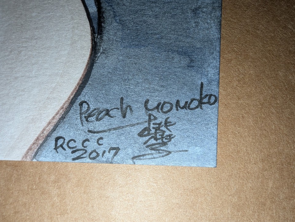 Peach Momoko Original Art Black Canary at Emerald City Comic Con 2017 ...