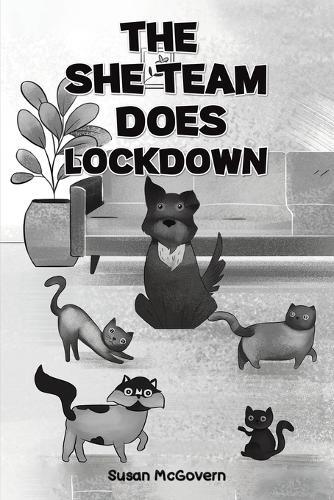 Susan McGovern The She Team Does Lockdown (Poche) | eBay
