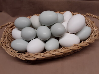 Duck Egg Shells Clean Blown Hollow for Crafts 1-Hole - set of 6 | eBay
