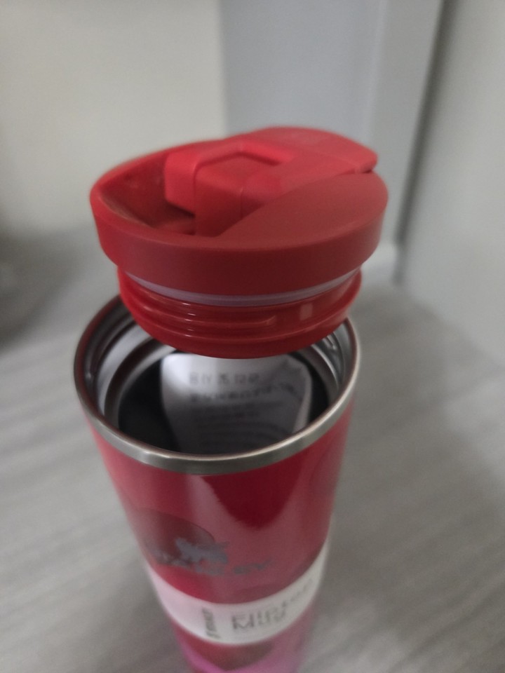 Stanley Aero Light 16 oz Valentine Hearts Bottle Red Rouge Heart ...